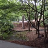 Webb Bridge Park Trail, Georgia - 768 Reviews, Map | AllTrails