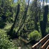Tryon Creek Triple Bridge Loop, Oregon - 1,568 Reviews, Map | AllTrails