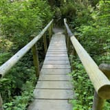 Tryon Creek Triple Bridge Loop, Oregon - 1,568 Reviews, Map | AllTrails
