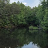 Webb Bridge Park Trail, Georgia - 768 Reviews, Map | AllTrails