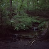 Webb Bridge Park Trail, Georgia - 768 Reviews, Map | AllTrails