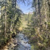 Upper Big Creek Loop, Washington - 2,738 Reviews, Map | AllTrails