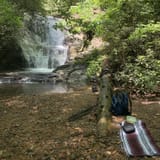 Wildcat Creek Loop Trail, Georgia - 322 Reviews, Map | AllTrails