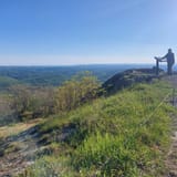 Buffalo Mountain Trail, Virginia - 736 Reviews, Map | AllTrails