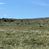 North Table Mountain via Rim Rock and North Table Mountain Loop ...