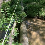 Wildcat Creek Loop Trail, Georgia - 322 Reviews, Map | AllTrails