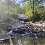 Moss Rock Preserve Trail, Alabama - 1,177 Reviews, Map | AllTrails