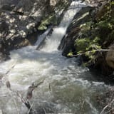 Lower Mill B North Fork Trail, Utah - 1,664 Reviews, Map | AllTrails