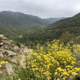 Tenaja Falls, California - 739 Reviews, Map | AllTrails