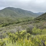 Tenaja Falls, California - 720 Reviews, Map | AllTrails