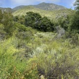 Tenaja Falls, California - 739 Reviews, Map | AllTrails
