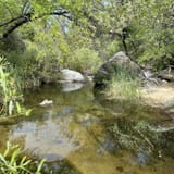 Tenaja Falls, California - 720 Reviews, Map | AllTrails