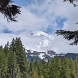 Rampart Ridge Loop, Washington - 2,247 Reviews, Map | AllTrails