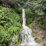 Brushy Creek Regional Trail, Texas - 1,519 Reviews, Map | AllTrails