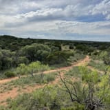 Haynes Ridge and Upper North Prong Trail Loop, Texas - 881 Reviews, Map ...