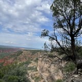 Haynes Ridge and Upper North Prong Trail Loop, Texas - 881 Reviews, Map ...