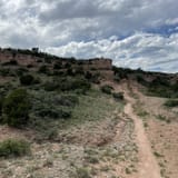 Haynes Ridge and Upper North Prong Trail Loop, Texas - 881 Reviews, Map ...