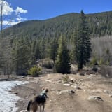 Abyss Trail to Helms Lake, Colorado - 2,658 Reviews, Map | AllTrails