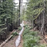 Three Peaks Loop, Washington - 200 Reviews, Map | AllTrails