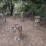 Elfin Forest Loop, California - 1,171 Reviews, Map | AllTrails