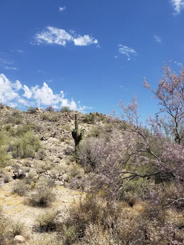 Best Historic Site Trails in Waddell | AllTrails