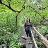 Big Tree Ridge Trail, Washington - 587 Reviews, Map | AllTrails