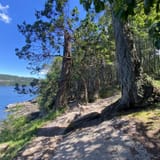 Cable Bay Trail, British Columbia, Canada - 1,155 Reviews, Map | AllTrails