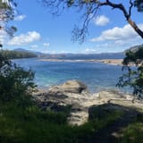 Cable Bay Trail, British Columbia, Canada - 1,155 Reviews, Map | AllTrails