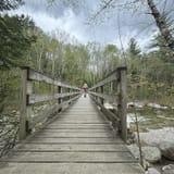 Franconia Falls Trail, New Hampshire - 1,674 Reviews, Map | AllTrails