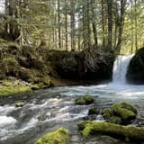 Kalama Falls Trail, Washington - 545 Reviews, Map | AllTrails