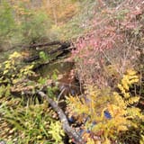 Pawcatuck River Loop, Rhode Island - 211 Reviews, Map | AllTrails