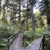 Cathedral Tree Trail, Oregon - 1,002 Reviews, Map | AllTrails