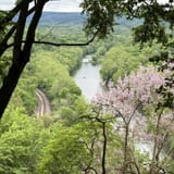 Neversink Trail Loop, Pennsylvania - 205 Reviews, Map | AllTrails