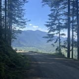 Mount Walker Loop, Washington - 217 Reviews, Map | AllTrails