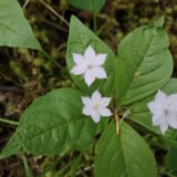 Nolte State Park Deep Lake, Washington - 609 Reviews, Map | AllTrails