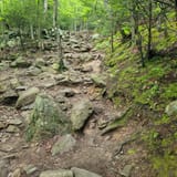 Mount Tammany via Red Dot and Blue Dot Loop Trail, New Jersey - 13,268 ...