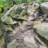 Mount Tammany via Red Dot and Blue Dot Loop Trail, New Jersey - 13,268 ...
