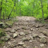 Mount Tammany via Red Dot and Blue Dot Loop Trail, New Jersey - 13,268 ...