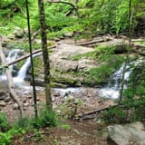 Mount Tammany via Red Dot and Blue Dot Loop Trail, New Jersey - 13,268 ...