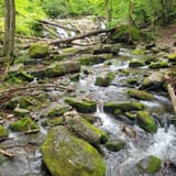 Mount Tammany via Red Dot and Blue Dot Loop Trail, New Jersey - 13,268 ...
