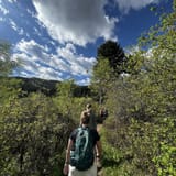 Triple Tree Trail, Montana - 1,328 Reviews, Map | AllTrails
