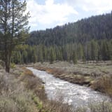 Bacon Rind Creek Trail, Montana - 87 Reviews, Map | AllTrails