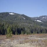 Bacon Rind Creek Trail, Montana - 87 Reviews, Map | AllTrails