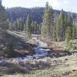 Bacon Rind Creek Trail, Montana - 87 Reviews, Map | AllTrails