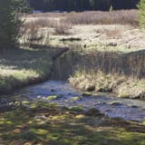 Bacon Rind Creek Trail, Montana - 87 Reviews, Map | AllTrails