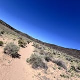 Rinconada Canyon Trail, New Mexico - 1,932 Reviews, Map | AllTrails
