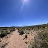 Rinconada Canyon Trail, New Mexico - 1,932 Reviews, Map | AllTrails