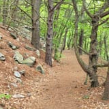 Thousand Steps, Pennsylvania - 1,286 Reviews, Map | AllTrails