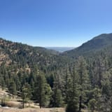 Silver Cascade Falls Trail, Colorado - 992 Reviews, Map | AllTrails