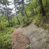 Audubon Loop Trail, Pennsylvania - 1,527 Reviews, Map | AllTrails
